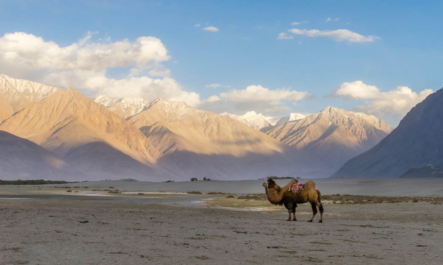 Nubra Valley – A Hidden Gem in Ladakh’s High Himalayas