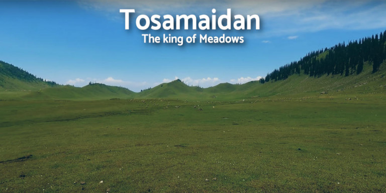 Tosamaidan: A Hidden Jewel Unveiling Kashmir's Mysteries